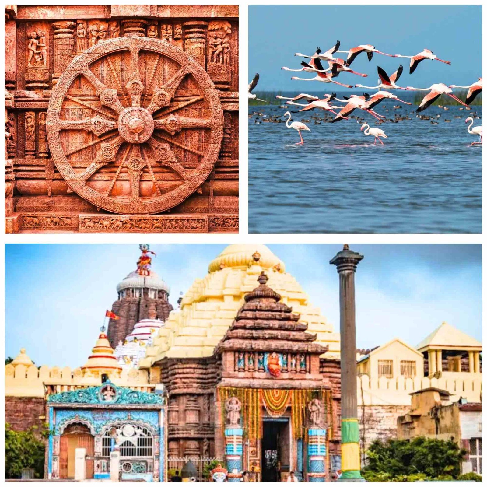Puri Konark Chilika Tour Package - Puri Packages